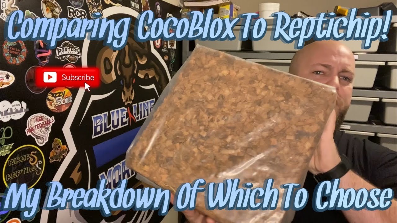 Should You Choose CocoBlox Or Reptichip For Your Substrate? My ...