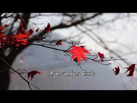 შმაგი წიკლაური - ჩემი ამინდია წვიმა / Shmagi tsiklauri - chemi amindia tsvima