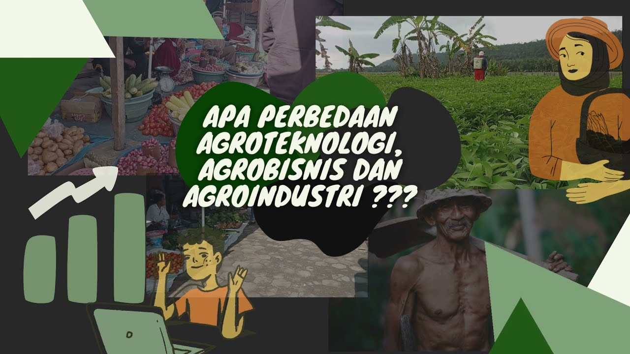 Perbedaan Agroteknologi, Agribisnis dan Agroindustri - YouTube