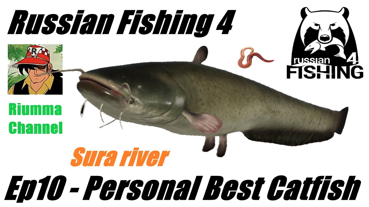 Russian Fishing 4- Ep10 - Personal Best Catfish - Sura River - YouTube