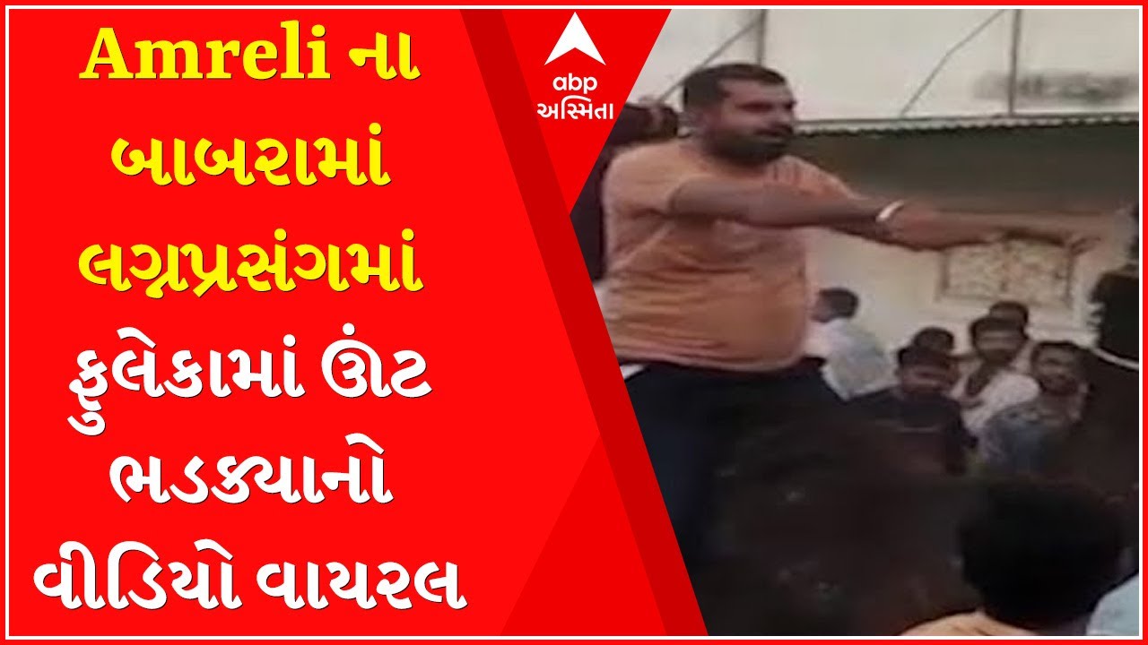 Video of a camel exploding in procession during a wedding - YouTube