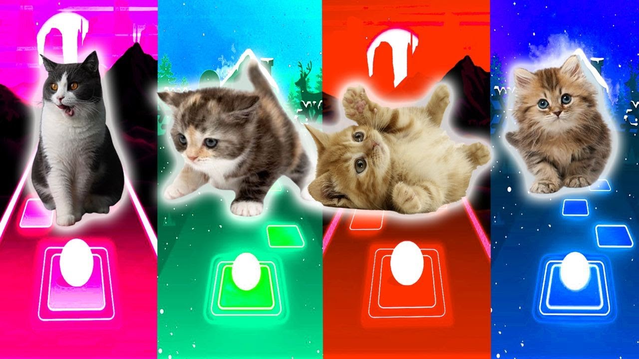 Cute Cats Lady Gaga Bloody Mary 🆚 Wednesday Dance 🆚 Imagine Dragons🆚 ...