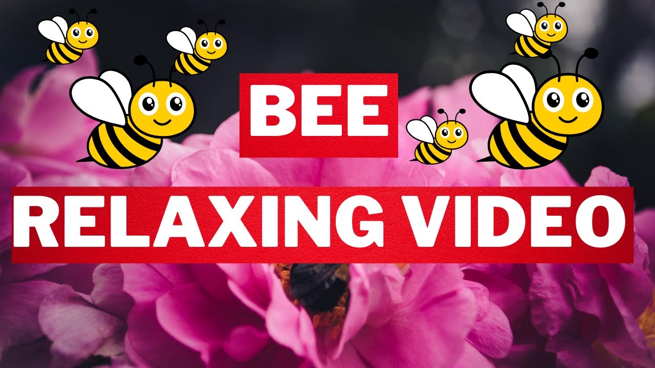 Relaxing Music with Amazing Bees Flying|Beautiful Bumblebees|Bee ...