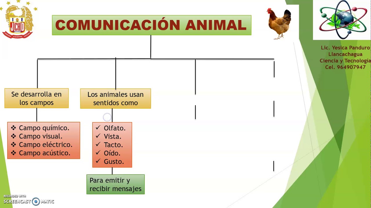 ¿ COMO SE COMUNICAN LOS ANIMALES? - YouTube