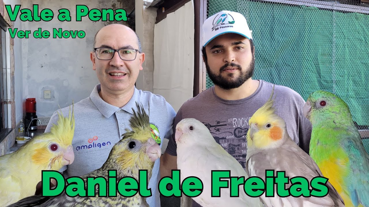 DANIEL DE FREITAS COM RED RUMPED E CALOPSITAS MUTAÇÕES RARAS!!! - YouTube