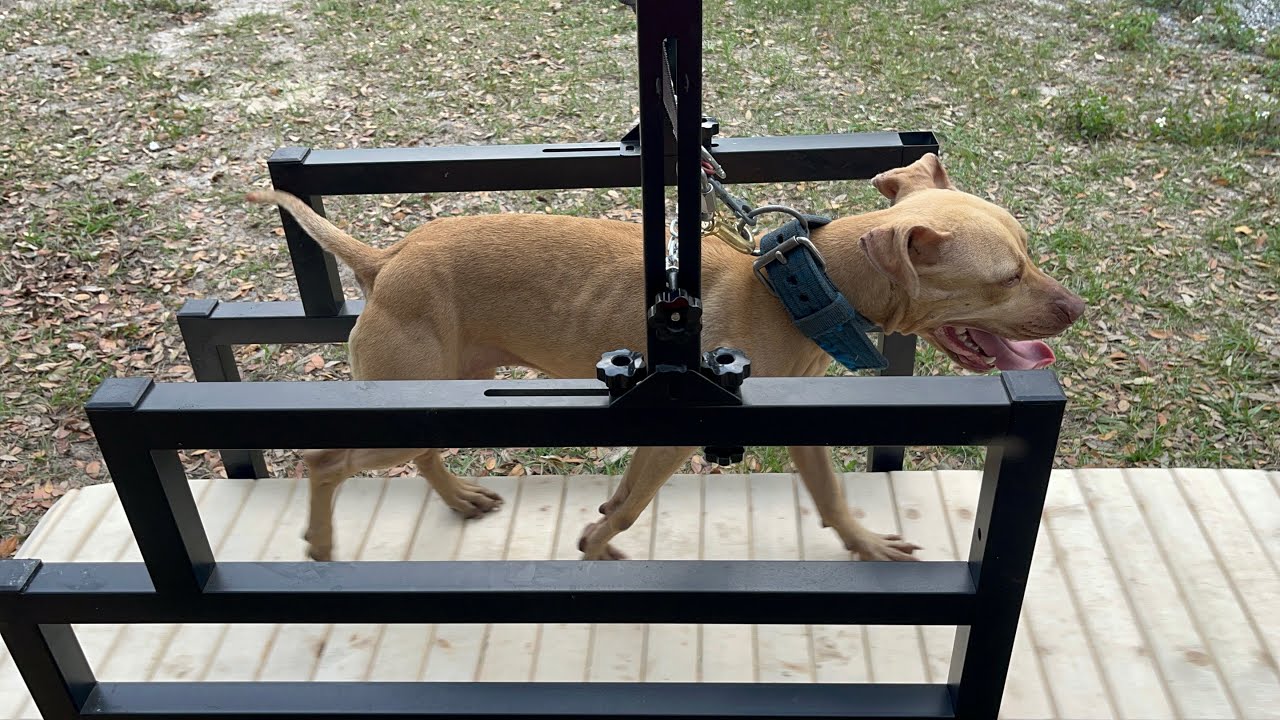 Working hounds and I love it - YouTube