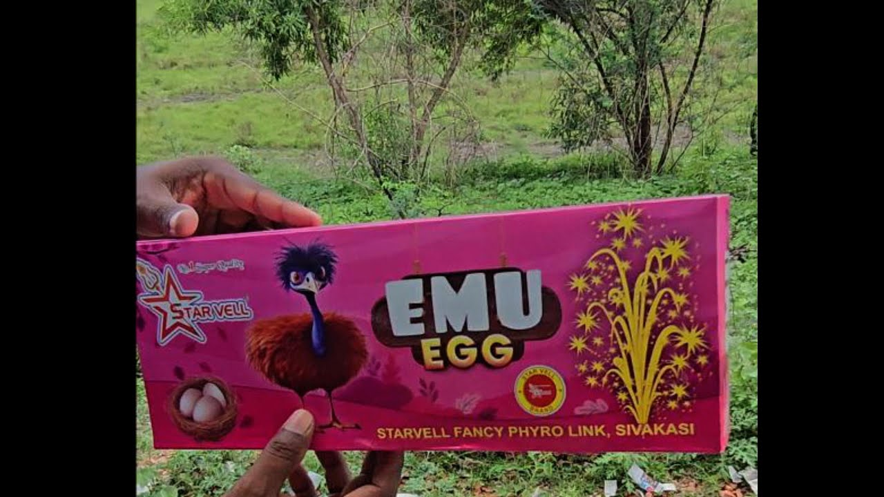 Magical Emu Egg Crackers: Crackling Fountains with a Surprise ...