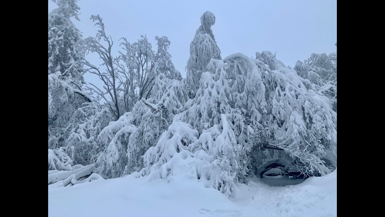Chillwave - Places - Winter Chill - YouTube