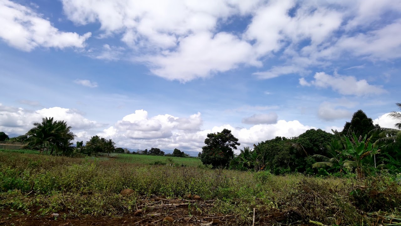 Life in the Farm - Time Lapse - YouTube