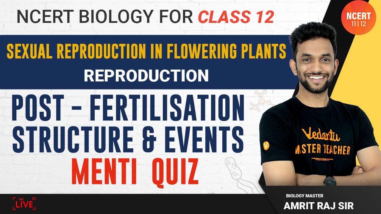Sexual Reproduction In Flowering Plants-04 | Post Fertilization ...