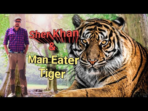 शेर खान और आदमखोर शेर । Man Eater Tiger & Sher Khan । Kenneth Anderson ...