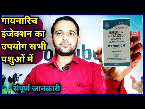 Gynarich Injection||Buserelin Acetate||GnRH Analogue||Use in all Animals||गर्भ ठहरने के लिए कब कैसे?