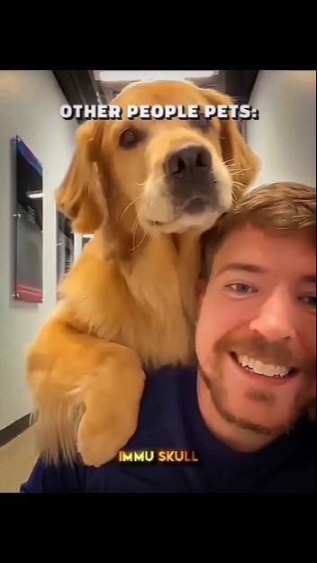 Other People Pets Vs This One ☠️ #shorts - YouTube