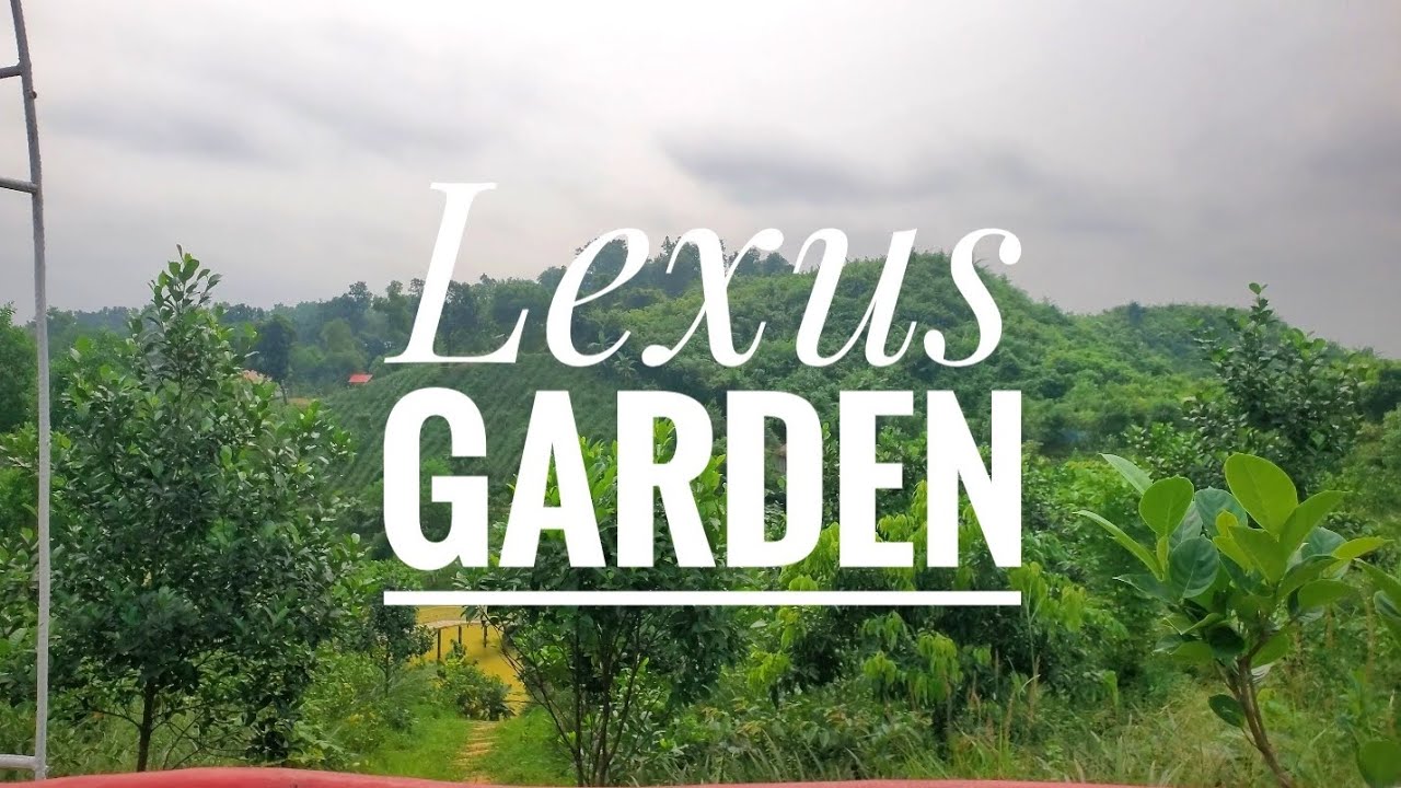 Lexus Garden - YouTube