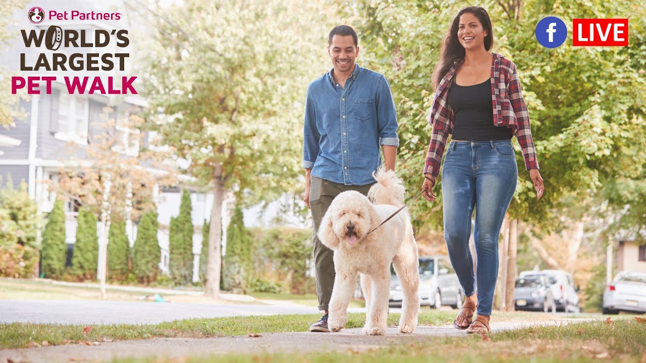 2021 World’s Largest Pet Walk Kickoff | Pet Partners - YouTube