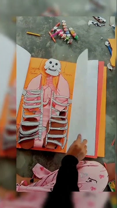 The human body system Science model project😁☺️ - YouTube