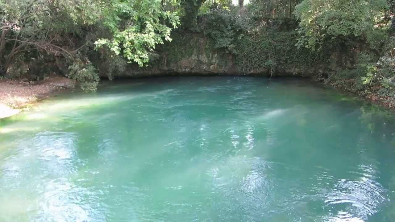 Risorgive del Timavo a San Giovanni al Timavo (Duino-Aurisina), 18 ...