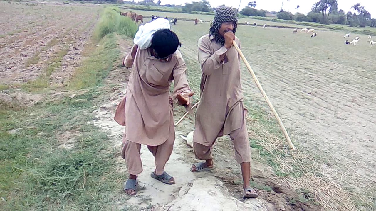 Hoya piyar piyar piyar Funy Dance - YouTube