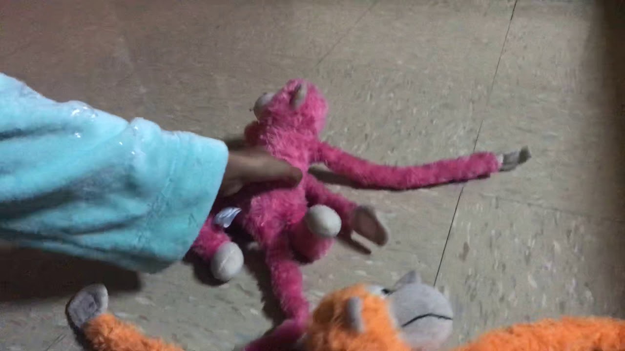 Monkeys mistake - YouTube