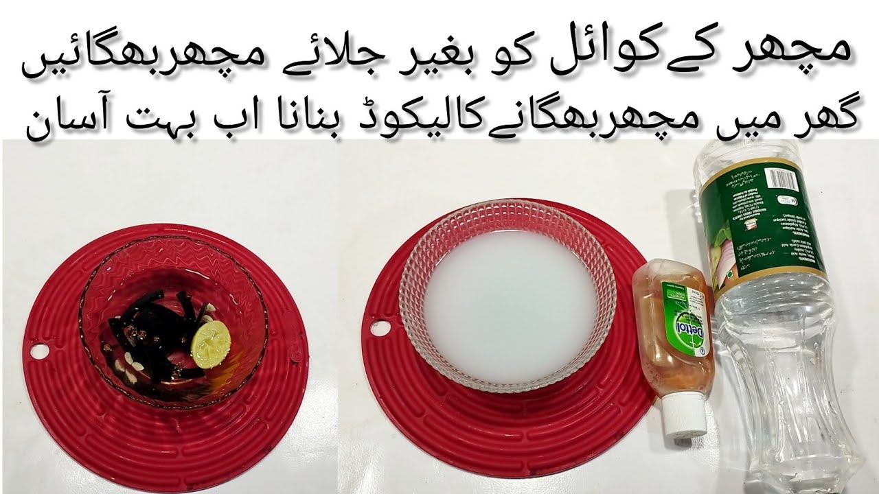 How To Use Broken Mosquito Coil | Homemade Mosquito Repellent Liquid ...