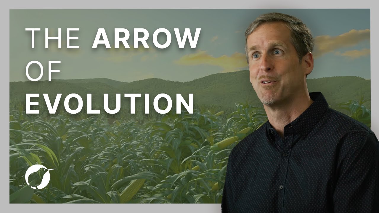 The Arrow of Evolution - YouTube