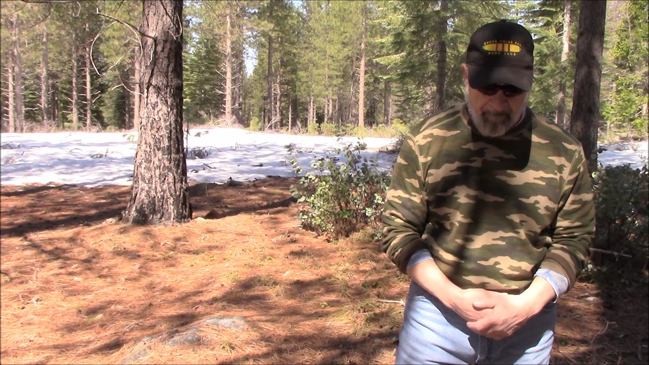 Sierra Project 2019 - In The Memory of Garland Fields - YouTube