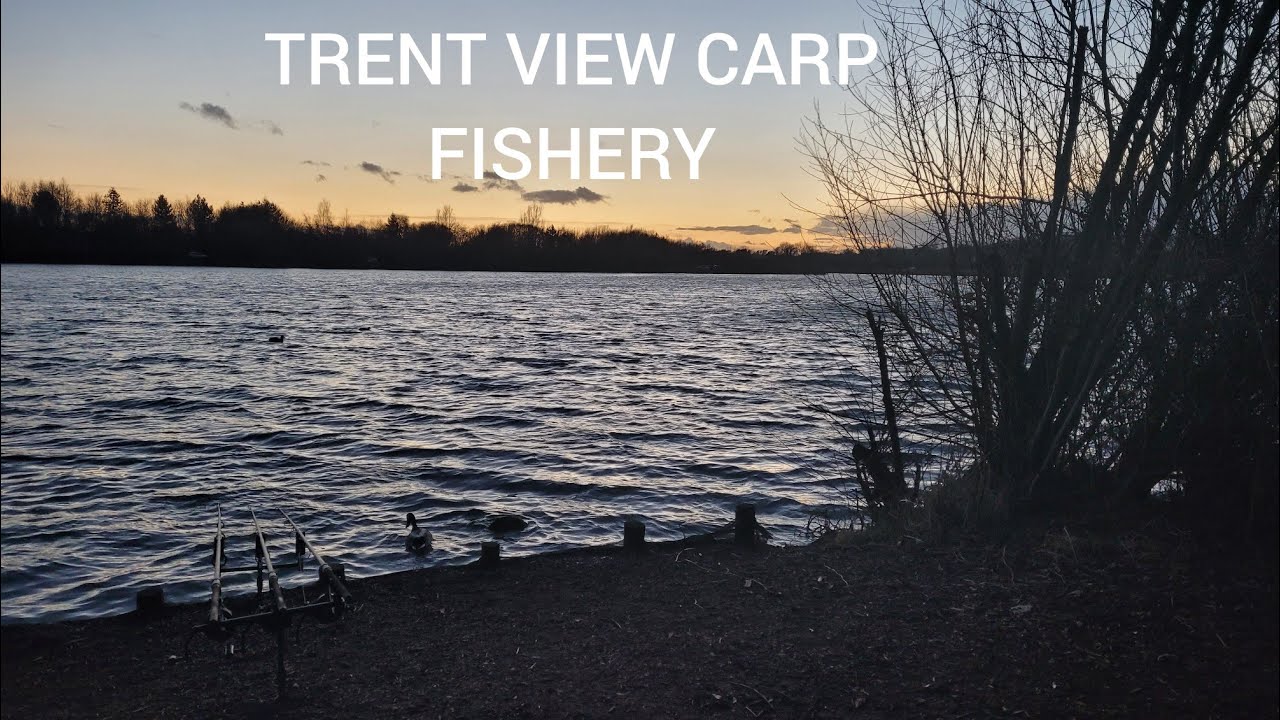 WINTER CARP FISHING TRENT VIEW CARP FISHERY - YouTube