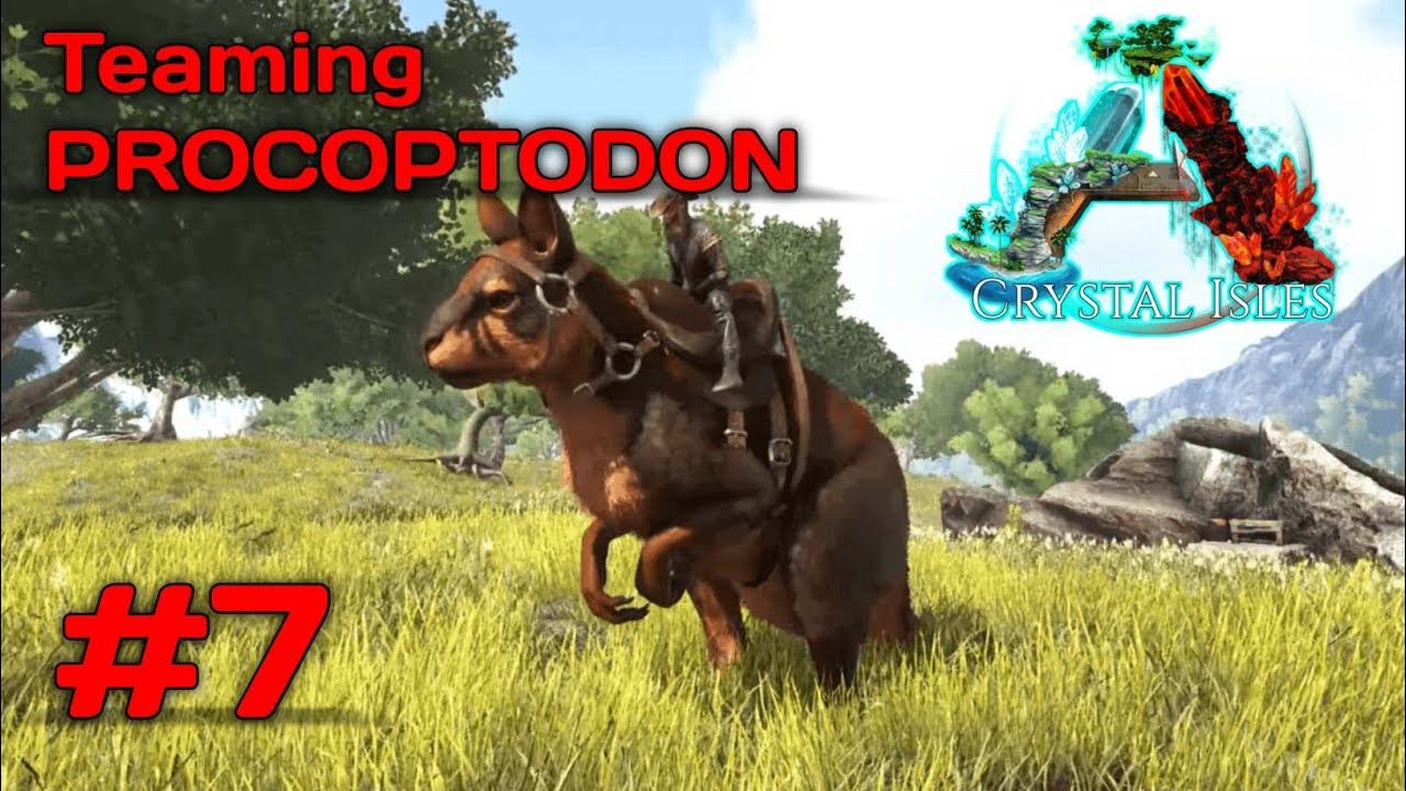 How to team a PROCOPTODON! || ARK Survival Evolved : Playing "ARK CRYSTAL ISLES"•Hindi• - Part 7 ...