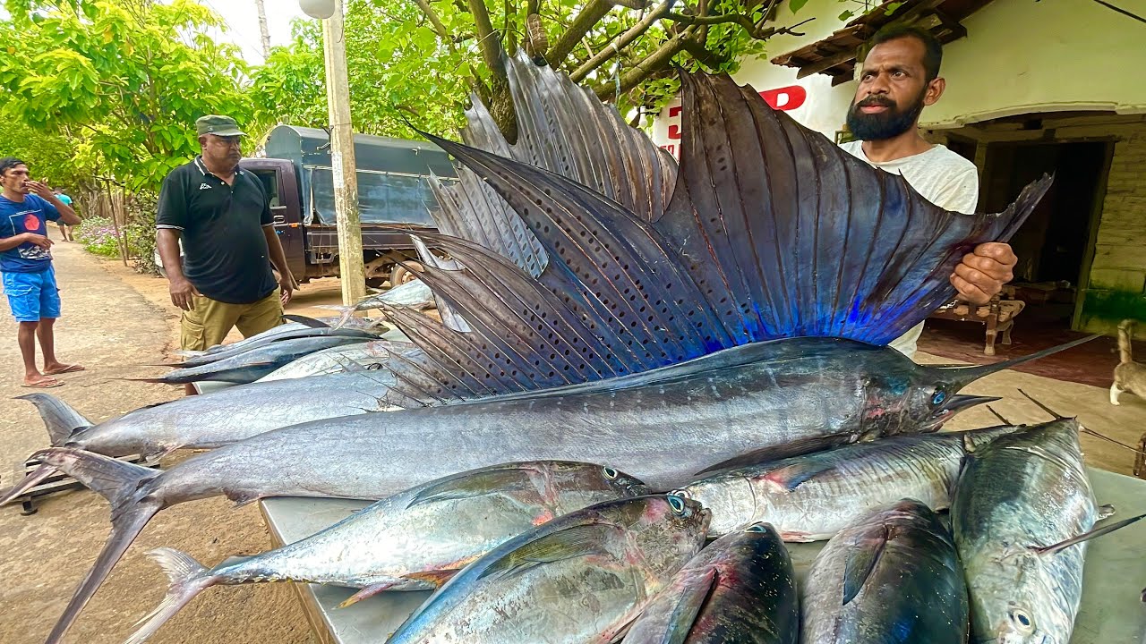 Wow! A day's work in Sri Lanka's hard-working street fish market - YouTube
