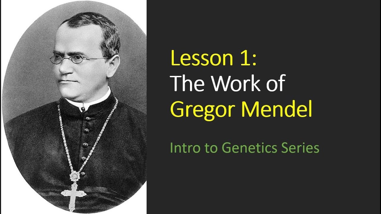 Intro to Genetics - Lesson One - Mendel - YouTube