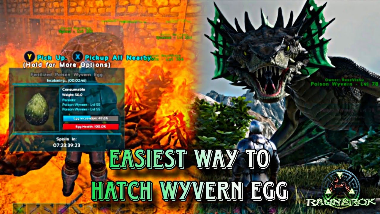 Ark Wyvern | Hatch wyvern eggs 2024!! - YouTube