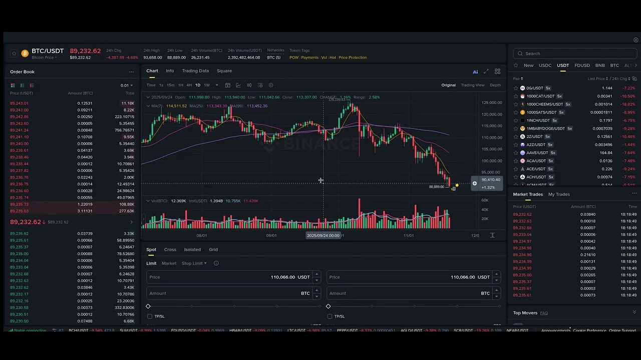 LIVE BTC/USDT CHART: Real-Time Bitcoin Price Tracker (Current Market ...