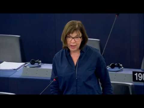 Debate in the European Parliament on Afgan Mukhtarli and human rights in Azerbaijan