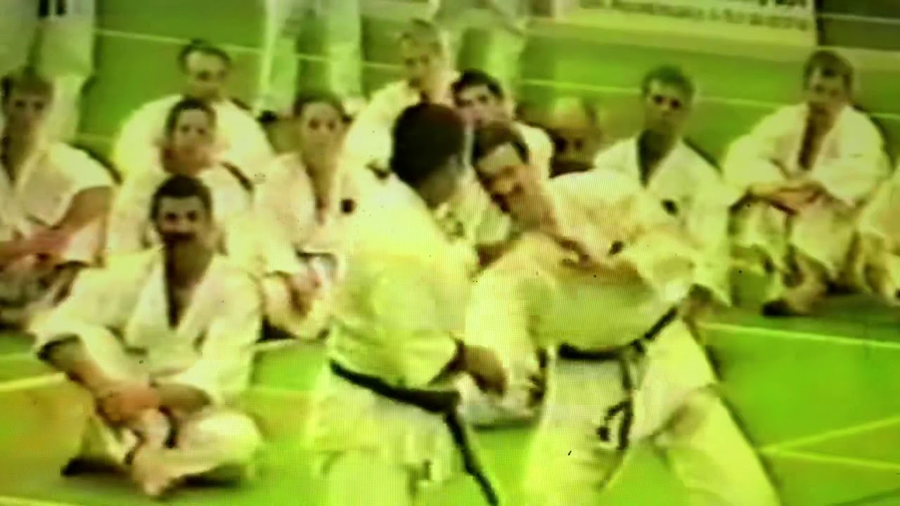 IOGKF European Gasshuku 1991 Silkeborg Denmark - YouTube