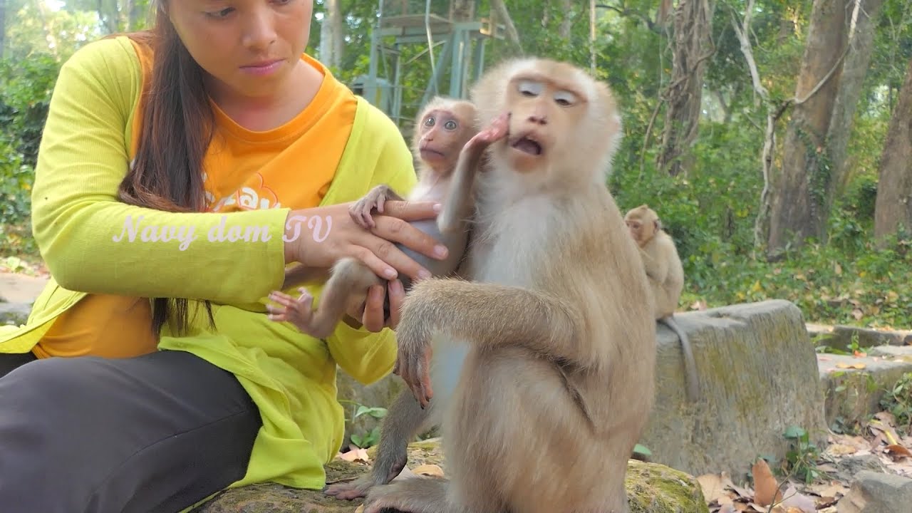 Unlocking the Secrets of Royston & Joyce Cuteness: Kunthear Trains Lifestyle and Hugging ...