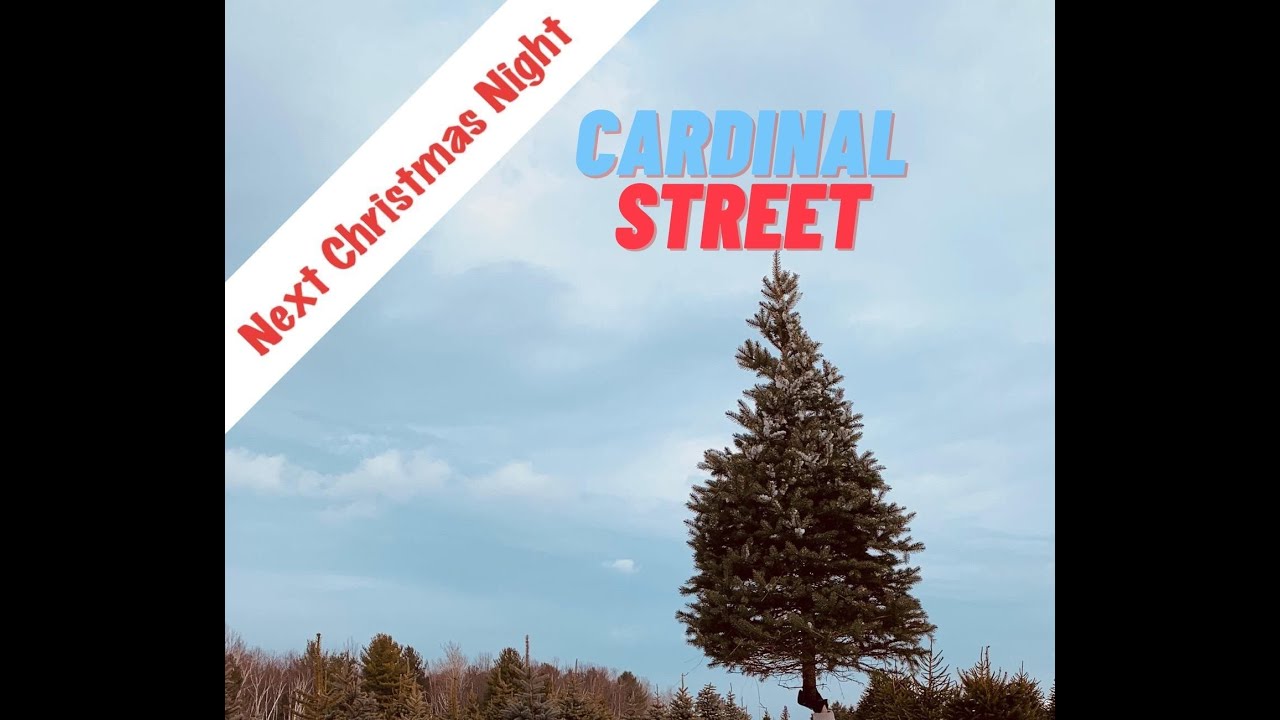 Next Christmas Night (Lyric Video) - YouTube