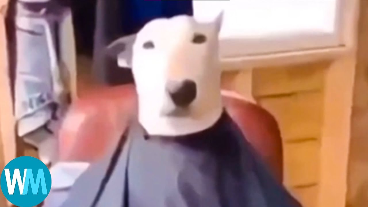 Top 5 Goofy Dogs - YouTube