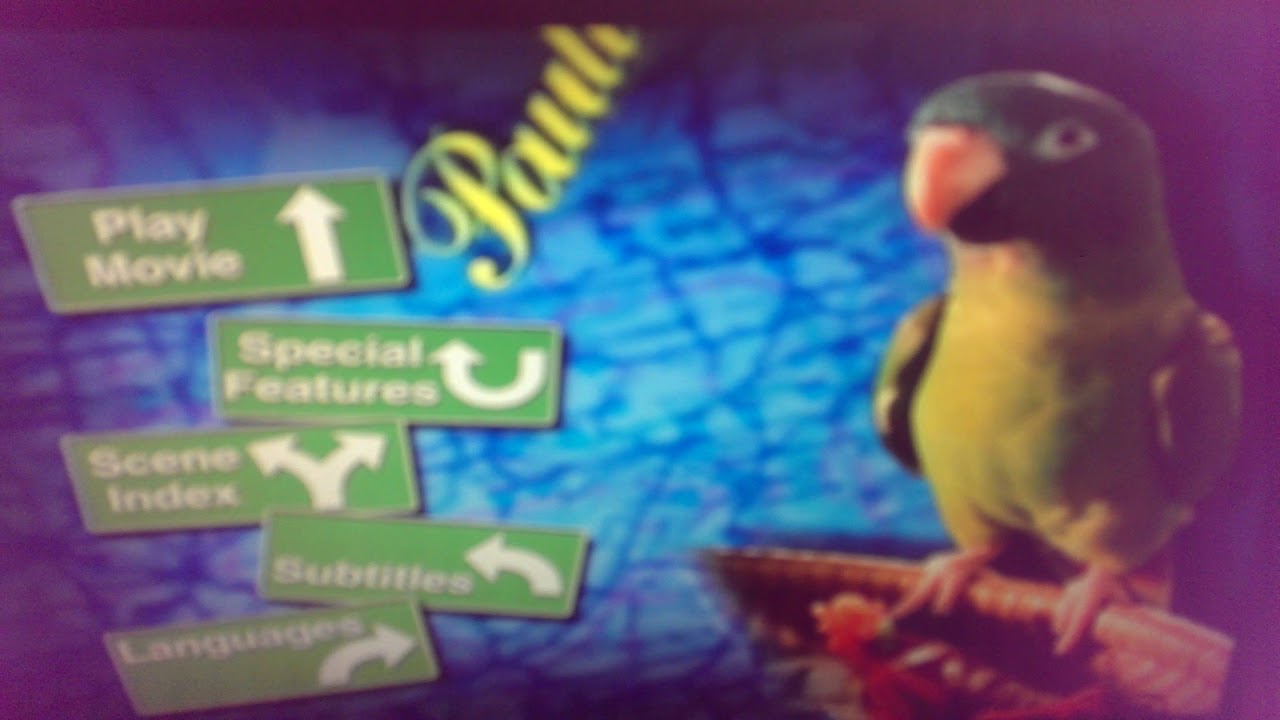 Opening to paulie 1999 DVD (2017 paramount pictures Reprint) - YouTube