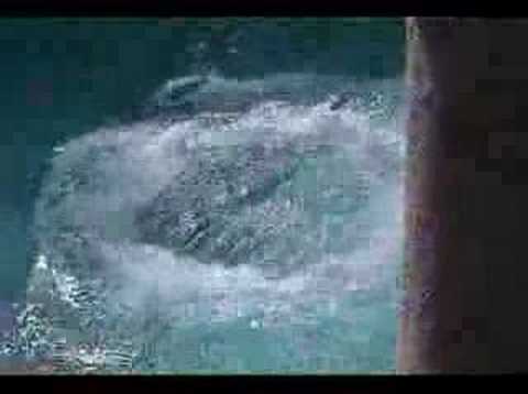 Dry ice bomb in swimming pool - YouTube