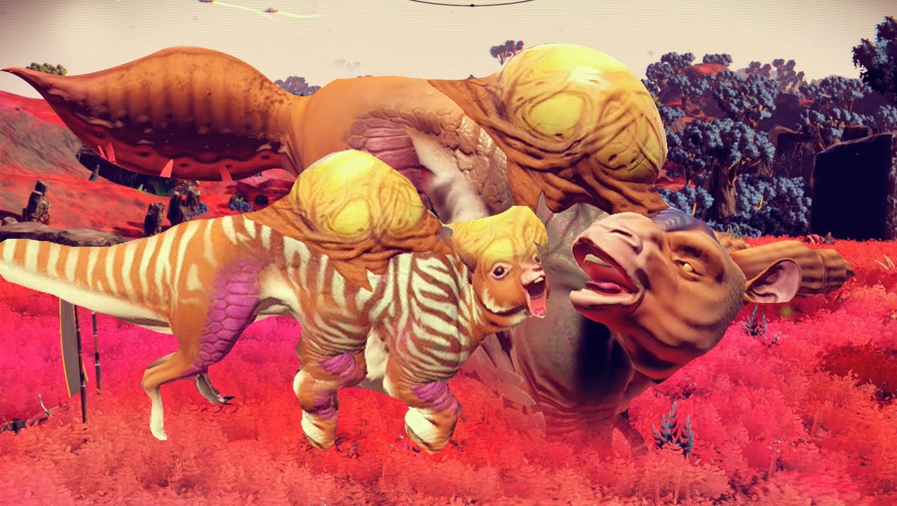 WEIRD GRASS, WEIRDER ANIMALS | No Man's Sky Gameplay - YouTube