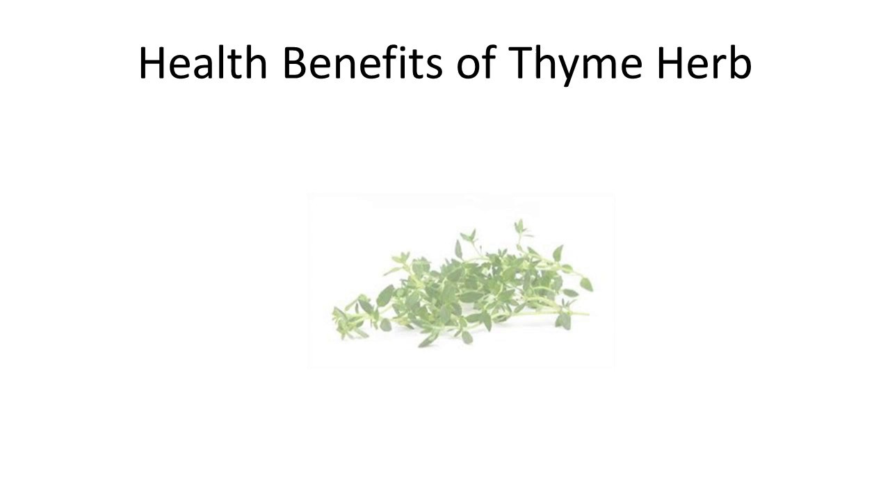 Top 10 Health Benefits and Advantages of Eating Thyme Herb - YouTube
