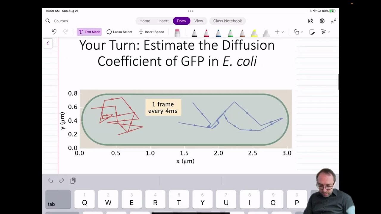 02 Diffusion Measuring diffusion constants by tracking single molecules - YouTube