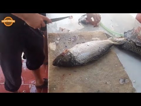 Barajda Yakalanan Alabalıkla Yayın Balığını  temizleme yöntemi