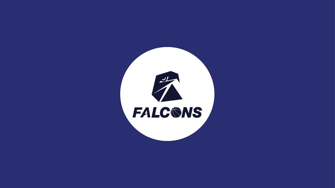 2024-2025】0908 - Falcons U12 vs Rising｜Falcons Elite friendly game - YouTube