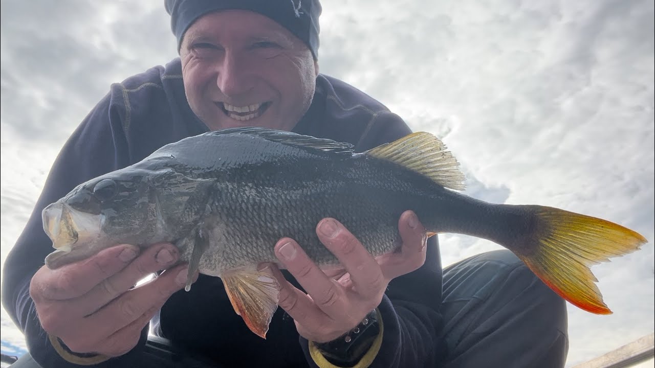 Bra Abbor bett - YouTube