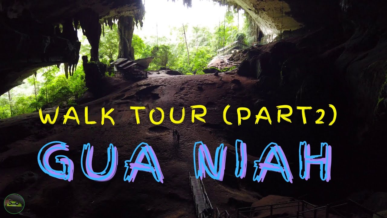 Walk Tour to Niah Cave | Relaxing Nature Ambience | Part 2 | DJI Osmo ...