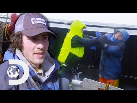 Crew Members Fight After Catching Only Three Crabs | Deadliest Catch