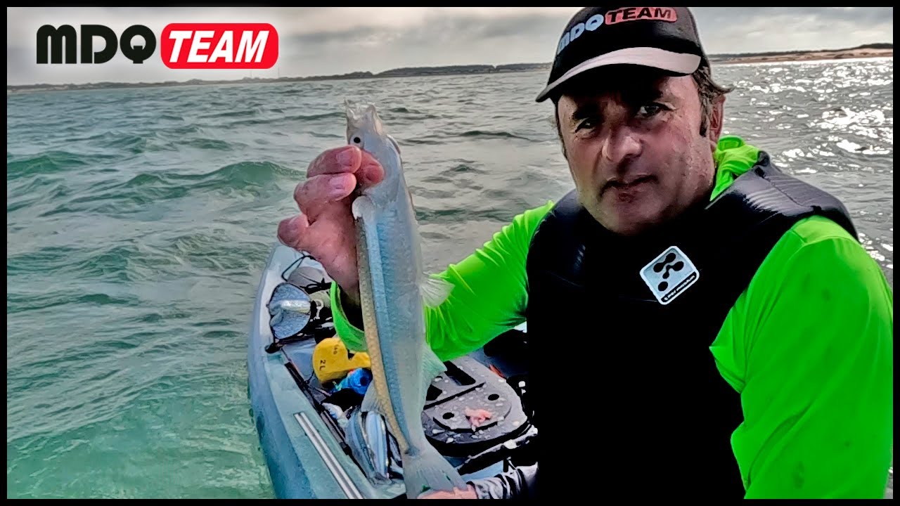 INCREIBLE PESCA EN PLENO OTOÑO - GRAN CARDUMEN DE PEJERREY PESCA CON ...