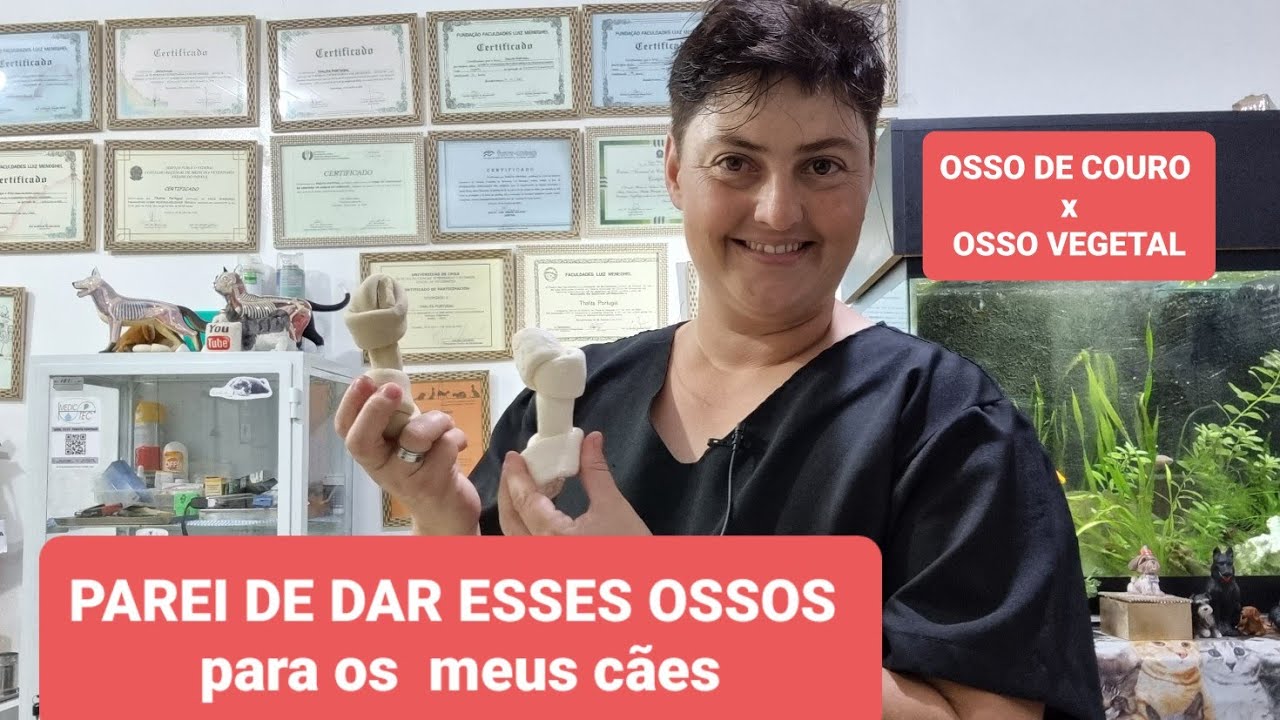 OSSO 100% VEGETAL X OSSO COURO ANIMAL - YouTube