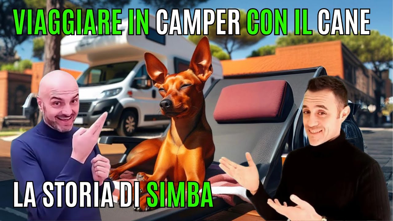 Viaggiare in Camper con il cane " LA STORIA DI SIMBA " - YouTube